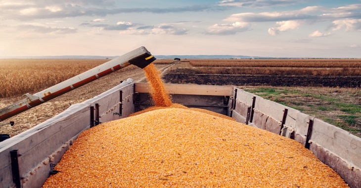 What You Need To Know About Gafta